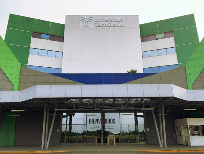 Universidad Tecmilenio Monterrey: Profesional
