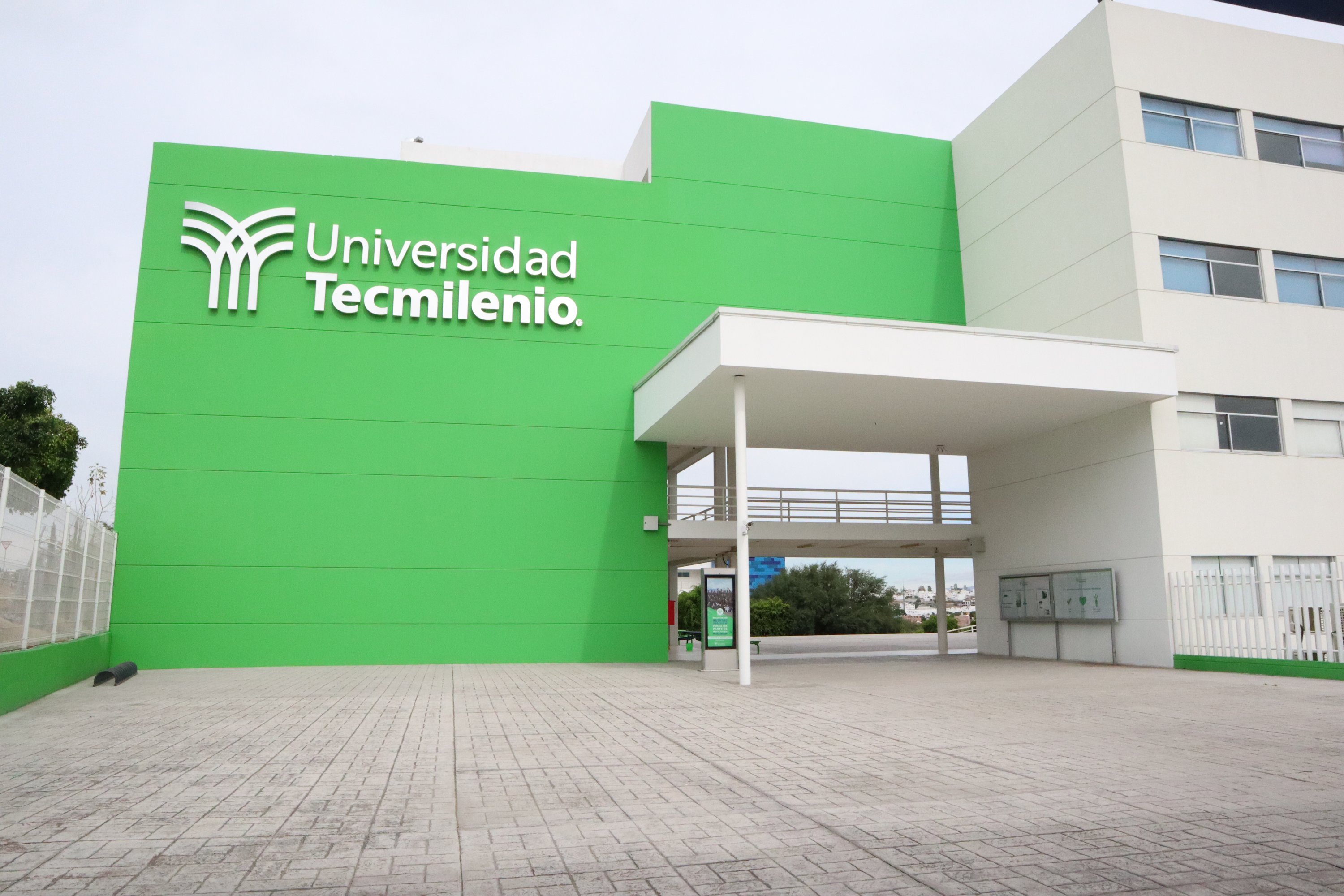 Universidad Tecmilenio Querétaro: Profesional