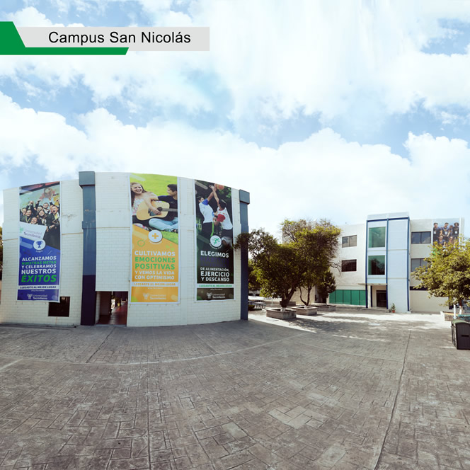 Universidad Tecmilenio Monterrey: Profesional